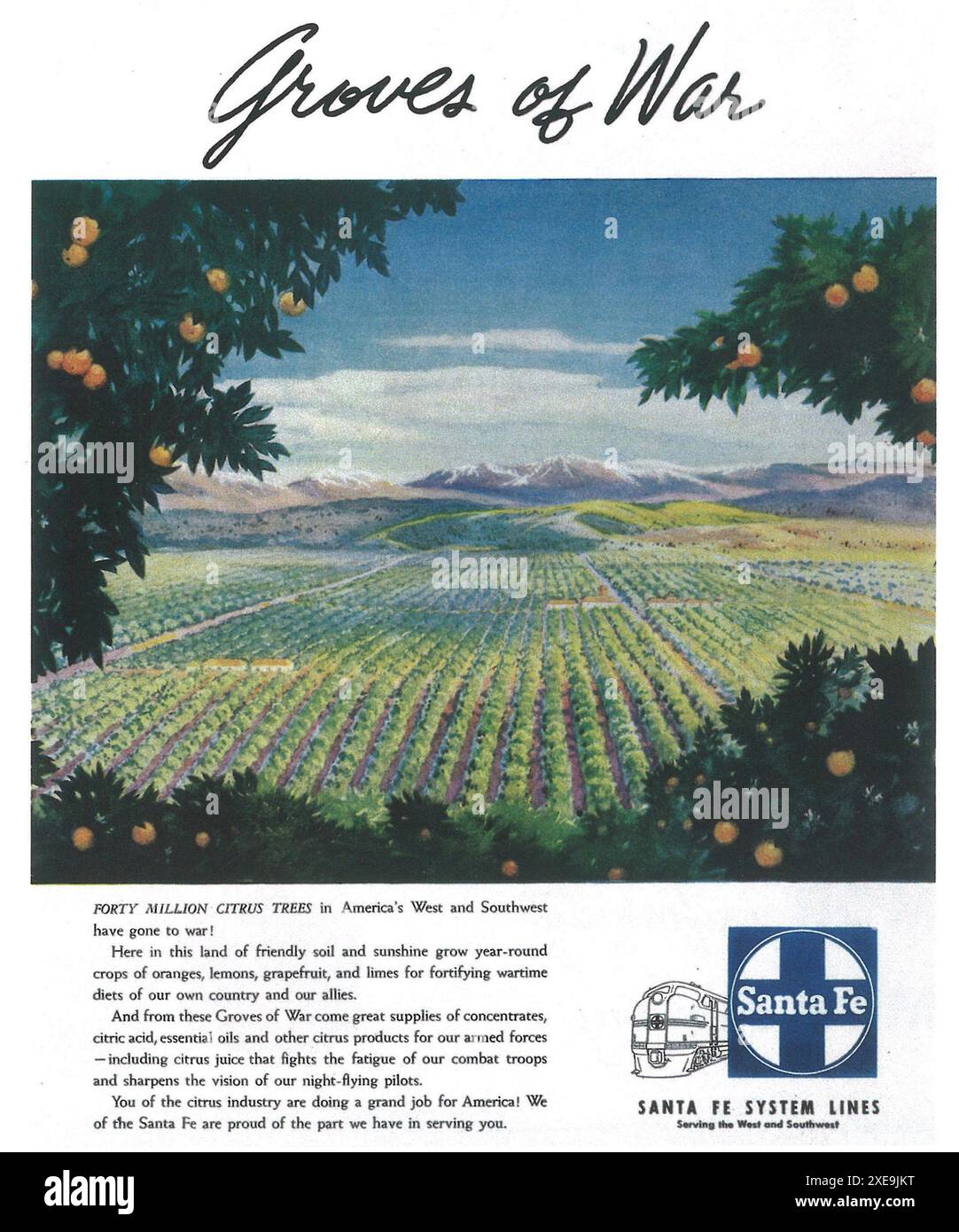 1945 Santa Fe System Lines ad - "Groves of War" - citrus fields Stock ...