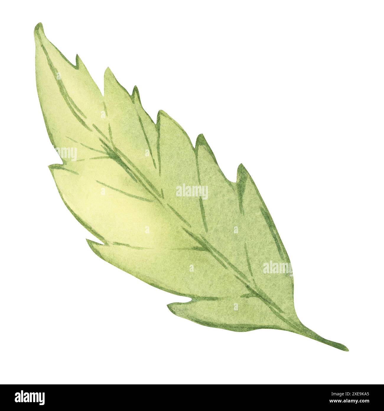 Autumn atmosphere leaves in Cut Out Stock Images & Pictures - Alamy