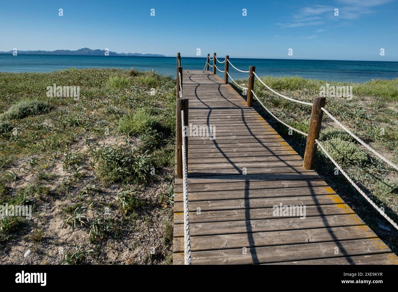 Wooden path to protect the dunes Stock Photo - Alamy