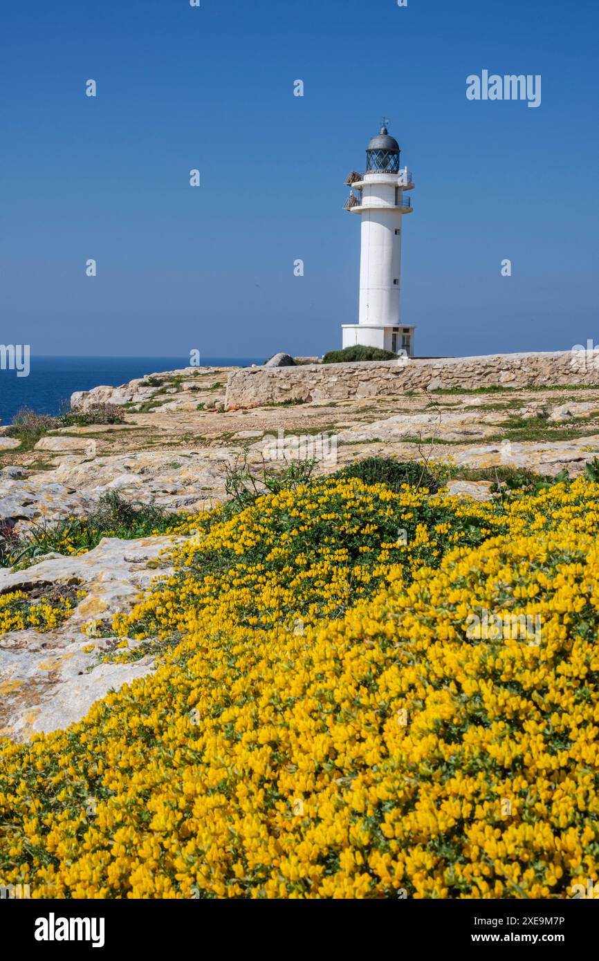Cap Barbaria lighthouse Stock Photo - Alamy