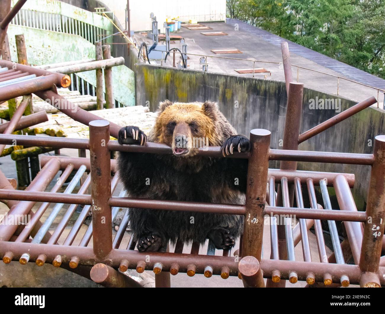 Ainu hokkaido japan hi-res stock photography and images - Alamy