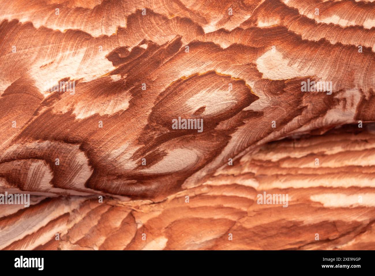 Sandstone rock and mineral layers in Petra, Jordan Stock Photo - Alamy