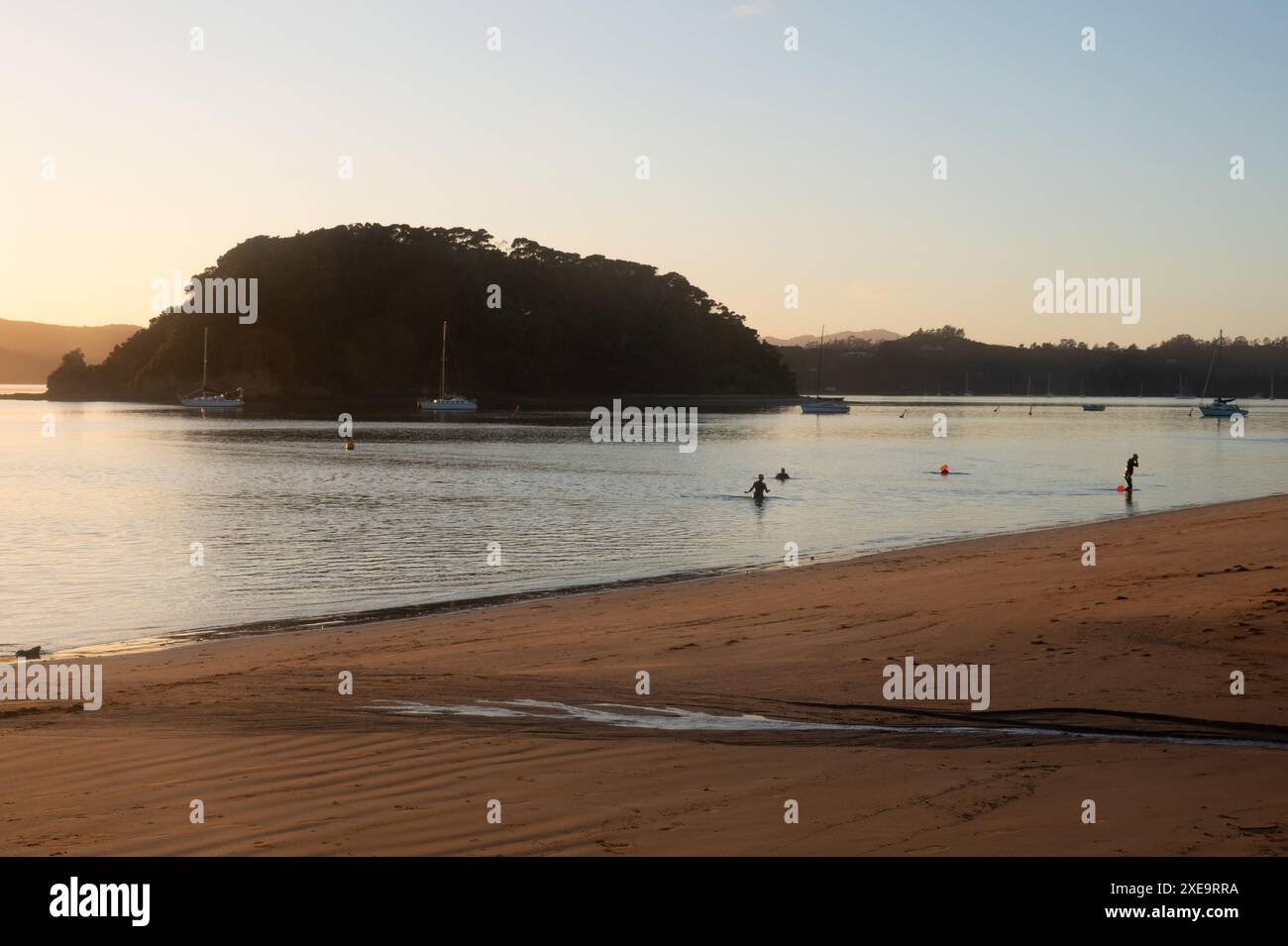 Swimming at sunrise off Paihia beach, Bay of Islands, New Zealand Stock ...
