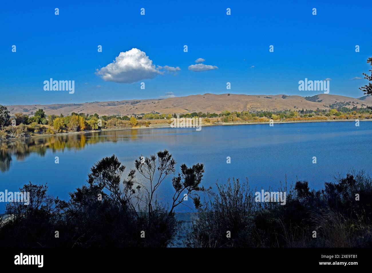 Quarry Lakes Regional Recreation Area, Fremont, California Stock Photo ...