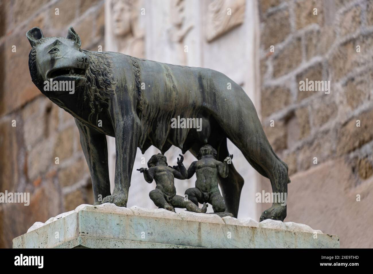 Luperca, the she-wolf who according to Roman mythology nursed Romulus ...