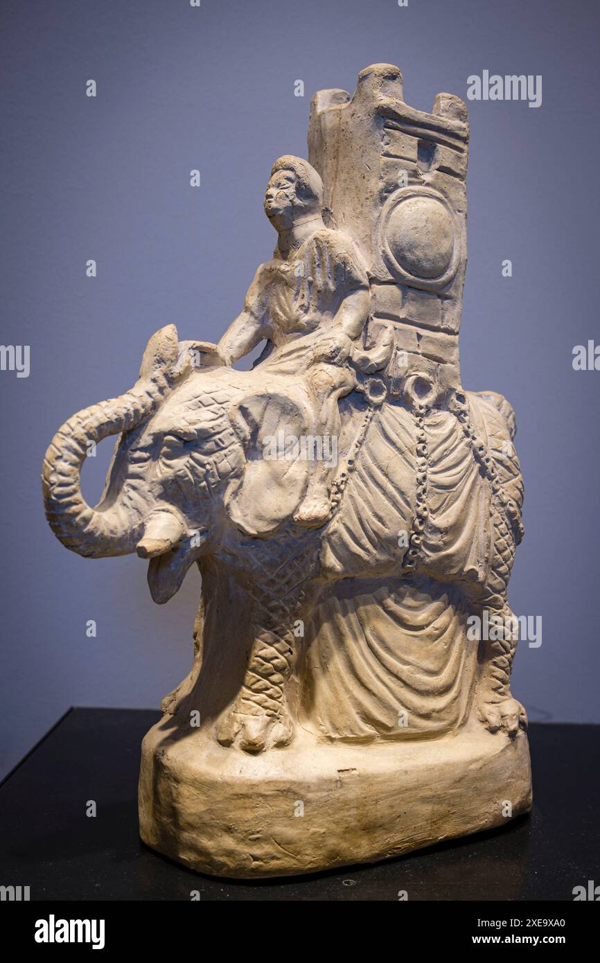 Coliseum museum hi-res stock photography and images - Alamy