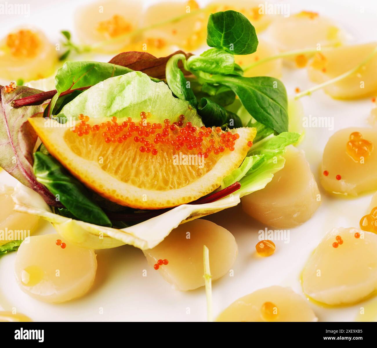 Fresh scallops on shell hi-res stock photography and images - Alamy