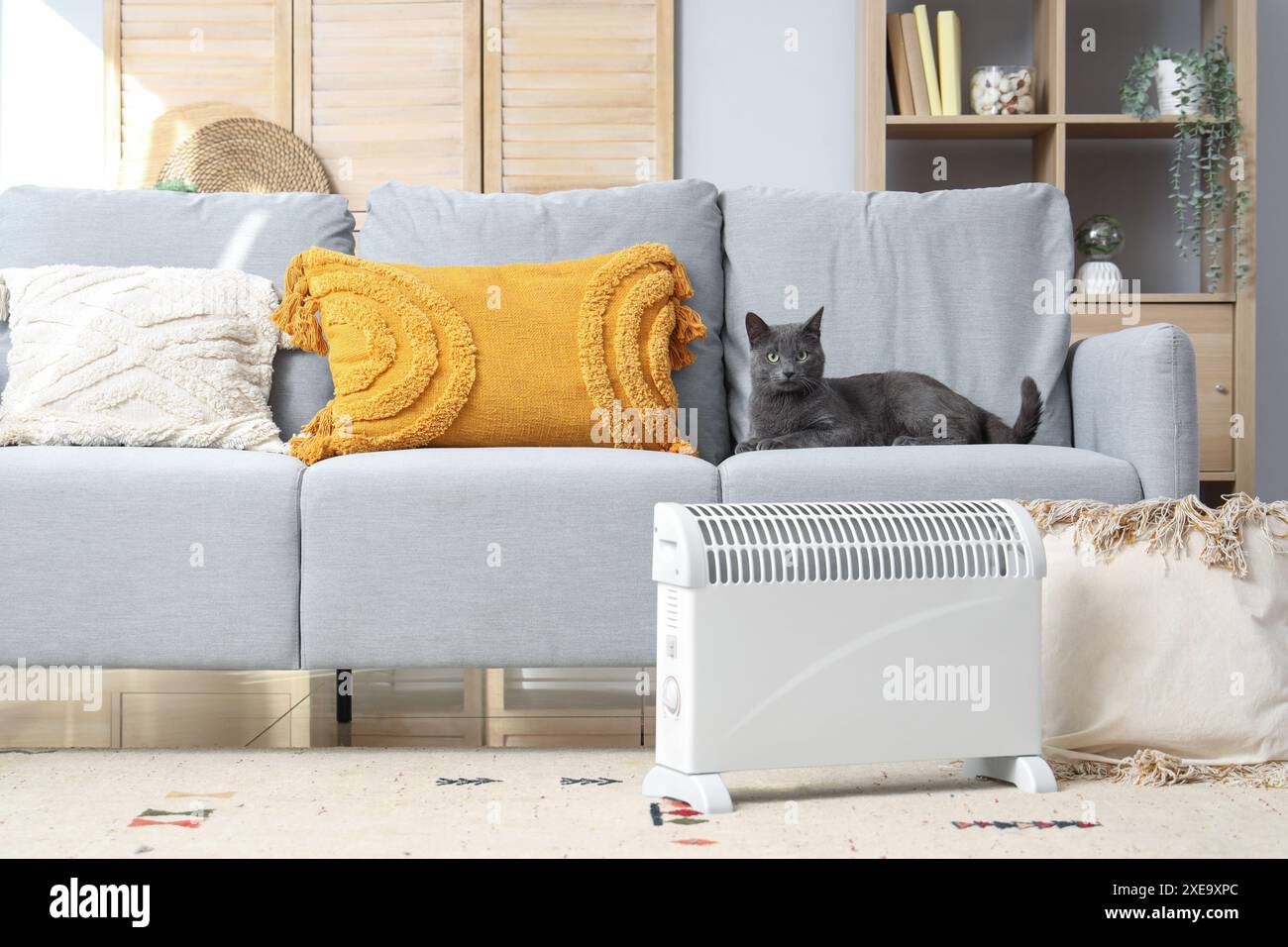Cute cat on sofa and radiator at home Stock Photo - Alamy