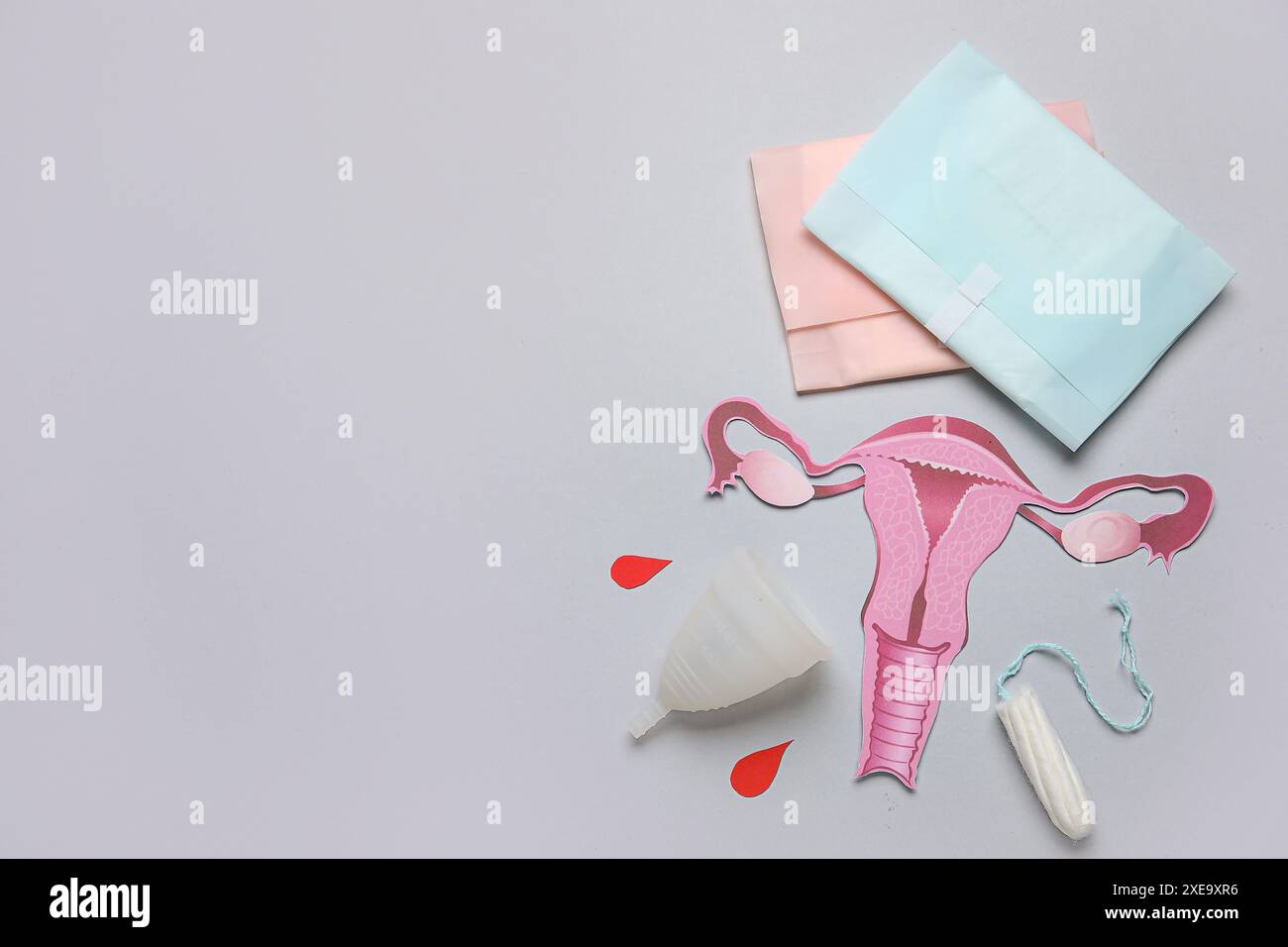 Composition with paper uterus and different feminine hygiene products ...