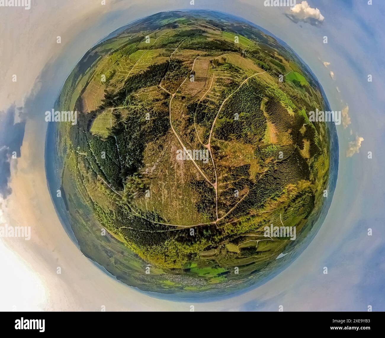 Aerial view, forest area with forest damage, pit field pit area ...