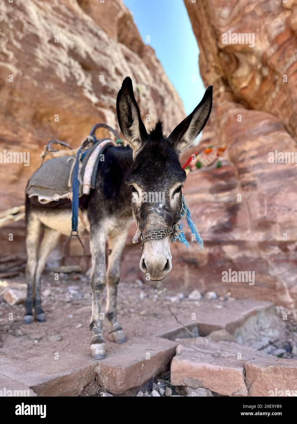 Detailed landscape of ancient hi-res stock photography and images - Alamy
