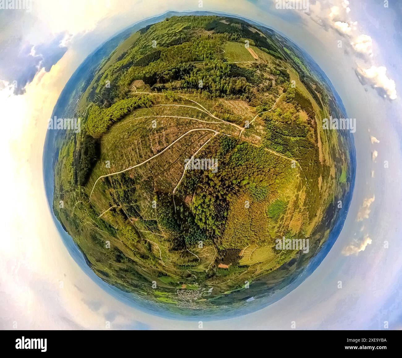 Aerial view, forest area with forest damage, pit field pit area ...