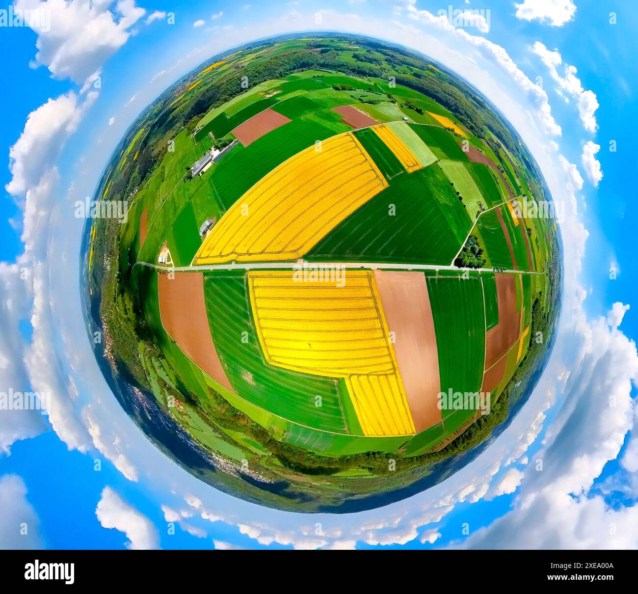 Aerial view, Galgenberg rapeseed fields, colorful tiled structures ...