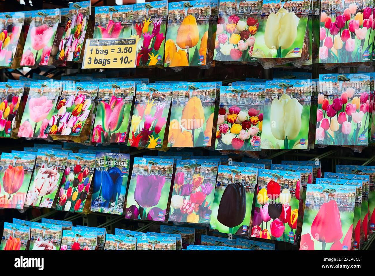 Dutch flower market, people in Amsterdam, Holland Stock Photo - Alamy