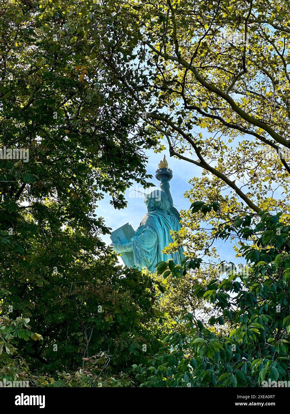 Statue of Liberty: A Glimpse Through Nature's Frame Stock Photo - Alamy