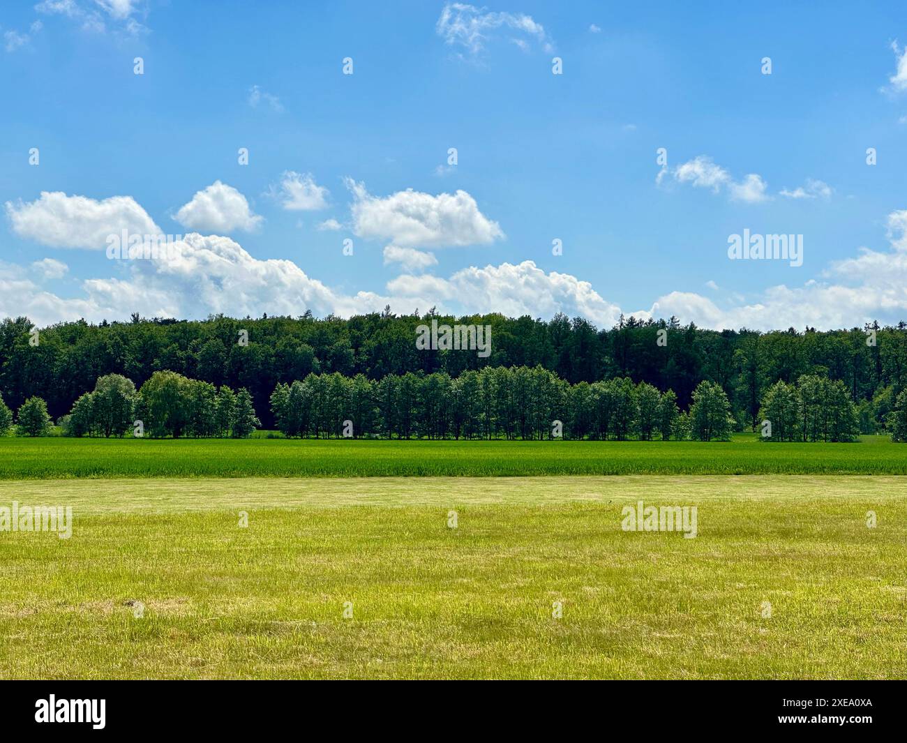 Lush green fields forests hi-res stock photography and images - Alamy