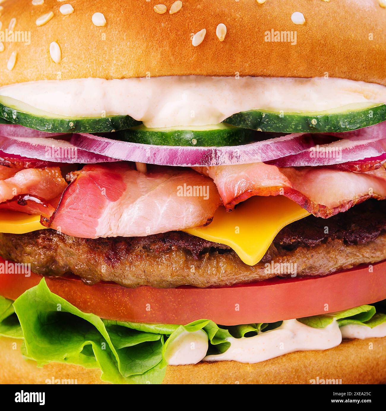 Close up burger beef patty hi-res stock photography and images - Alamy