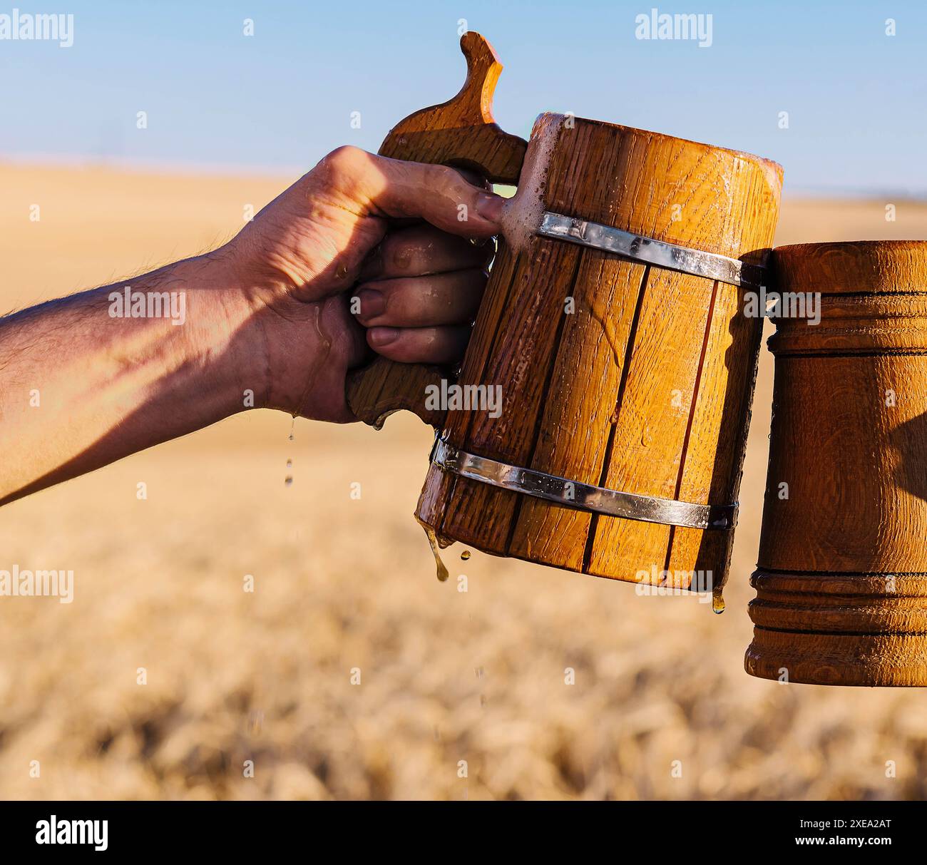 Beer mugs clink hi-res stock photography and images - Alamy