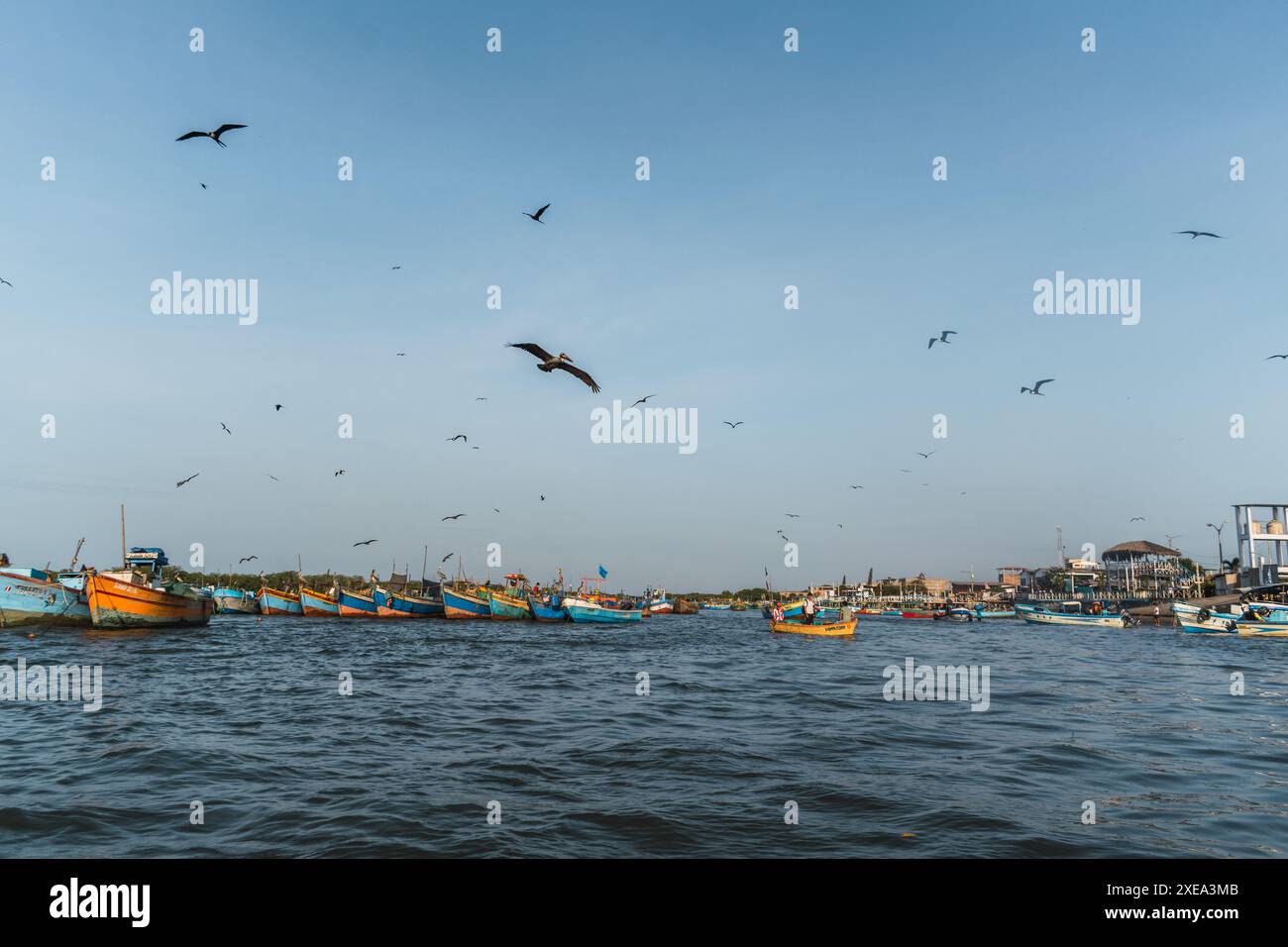 Peru tumbes river hi-res stock photography and images - Alamy