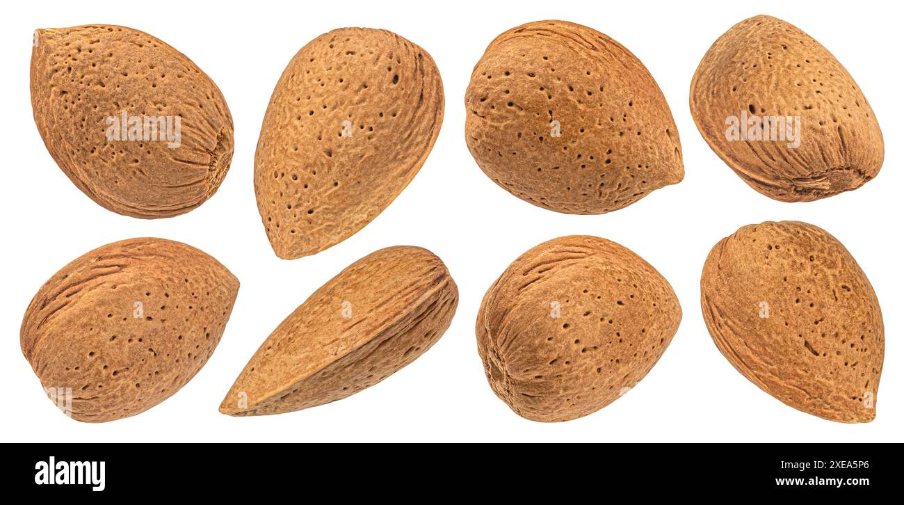 Almond nuts in shell isolated on white background Stock Photo - Alamy