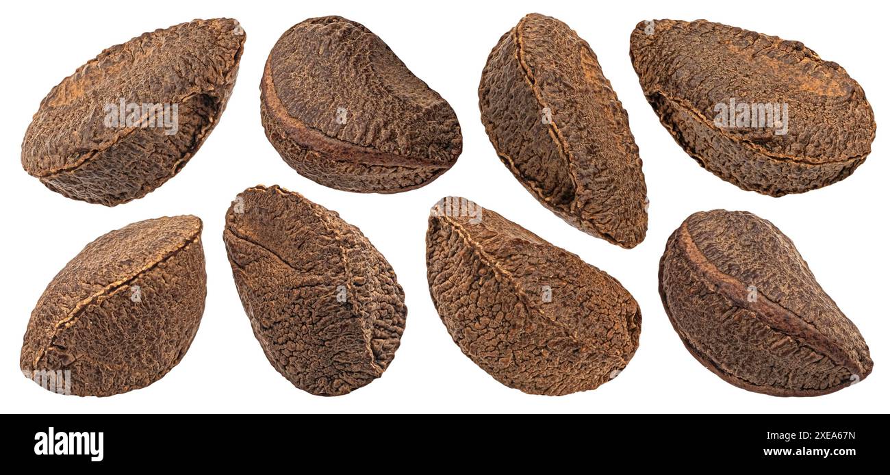 Brazil nuts in shell isolated on white background Stock Photo - Alamy