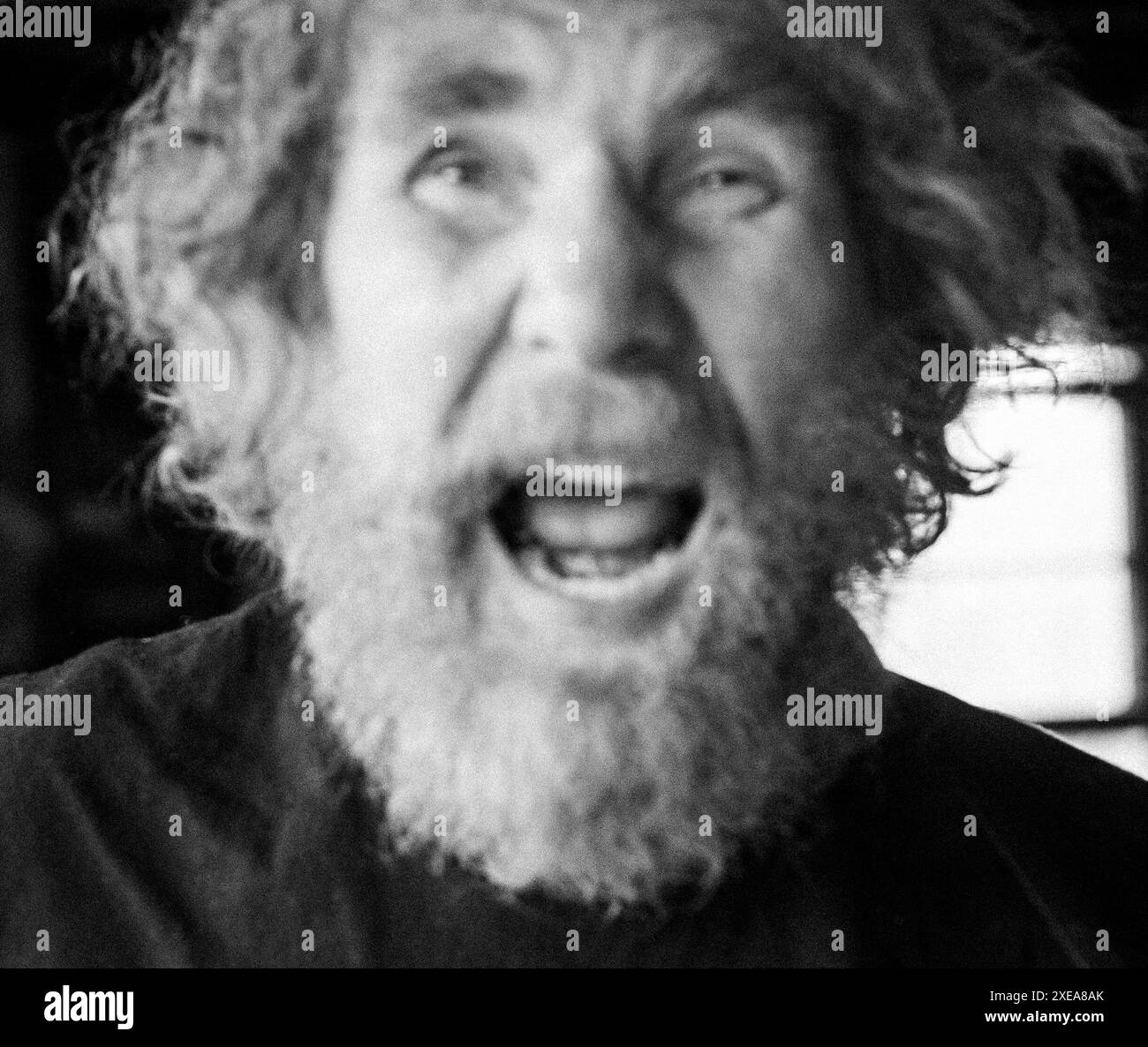 Little Howlin' Wolf, photographed in 2005 Stock Photo - Alamy