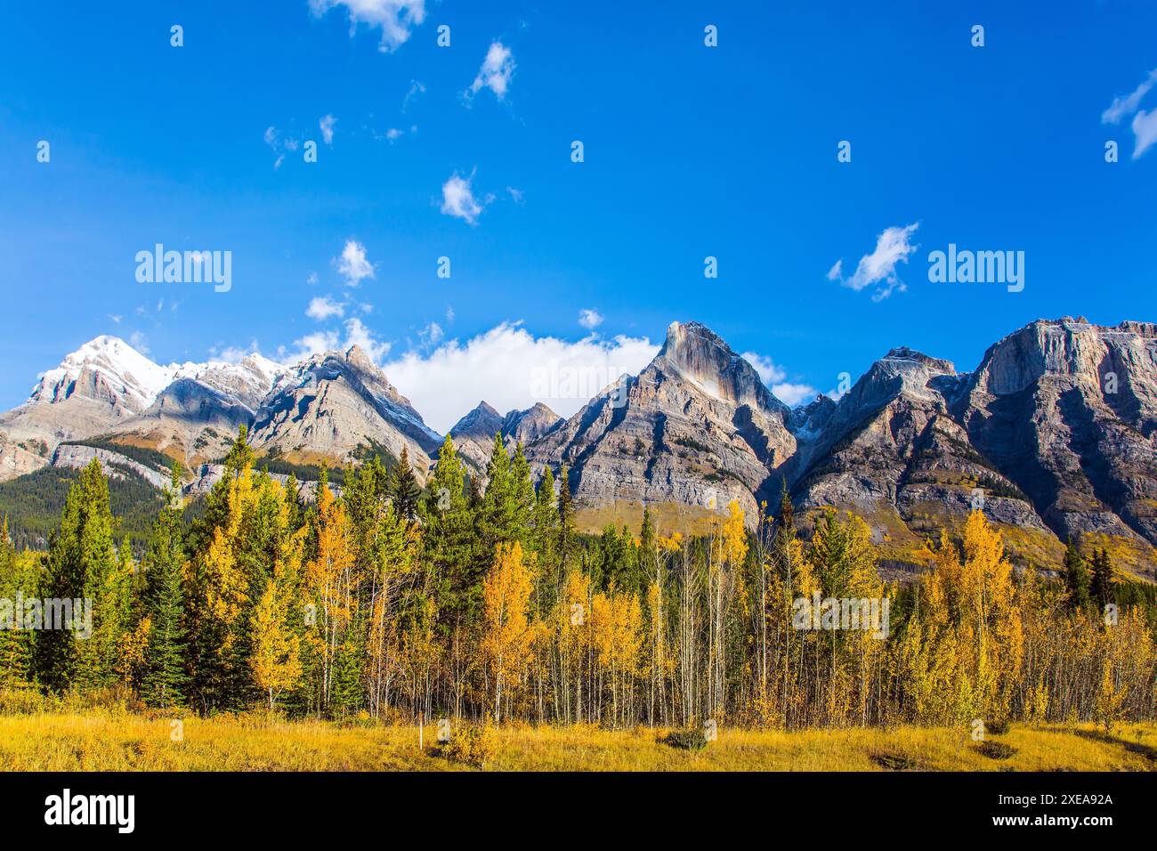 The first snow has already fallen on the peaks. Great Canadian Rockies ...