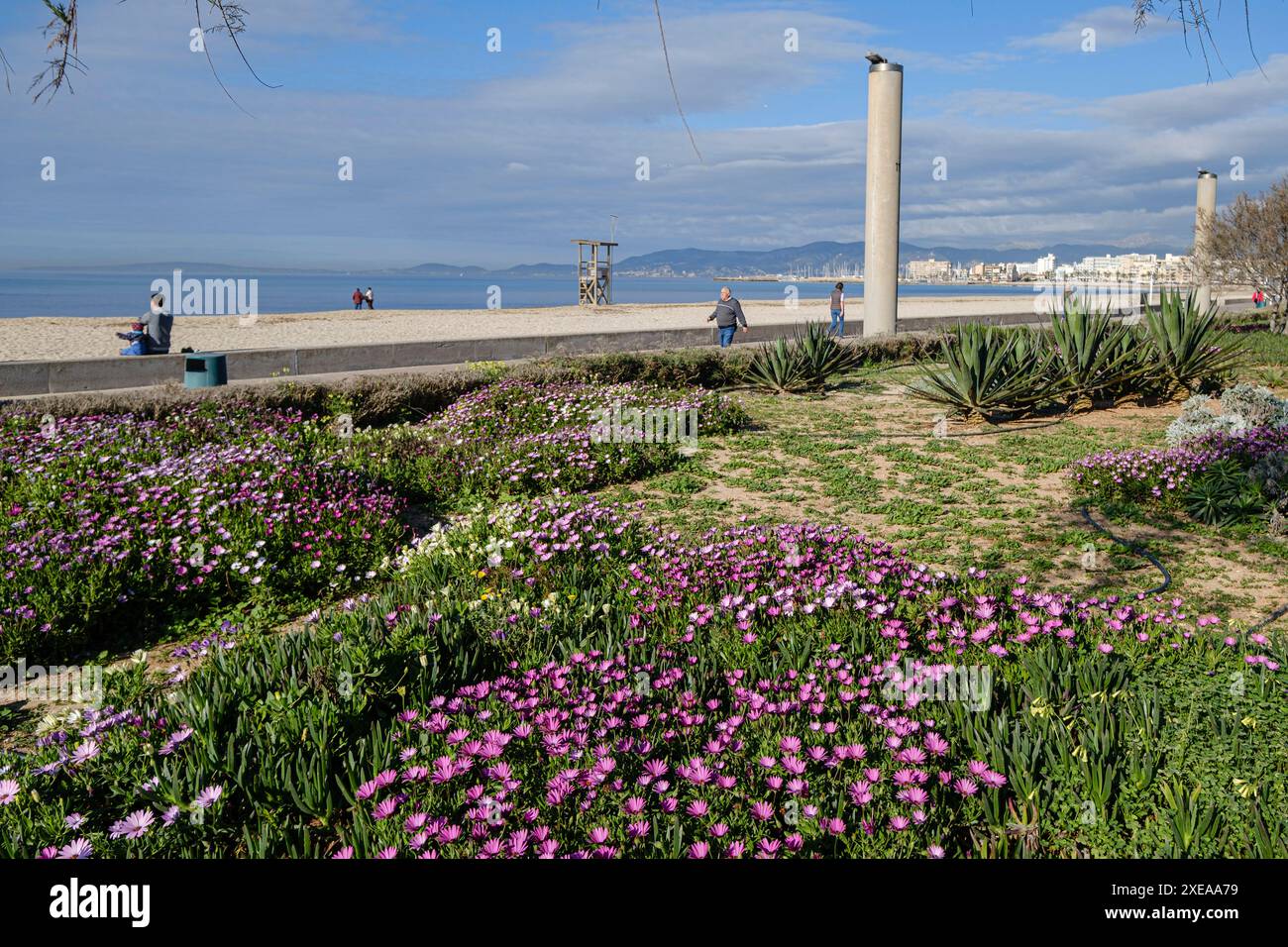Sea park in palma de hi-res stock photography and images - Alamy