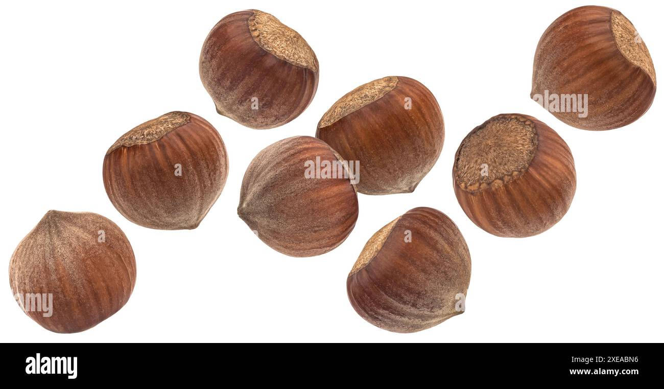 Close up unpeeled hazelnuts falling hi-res stock photography and images ...