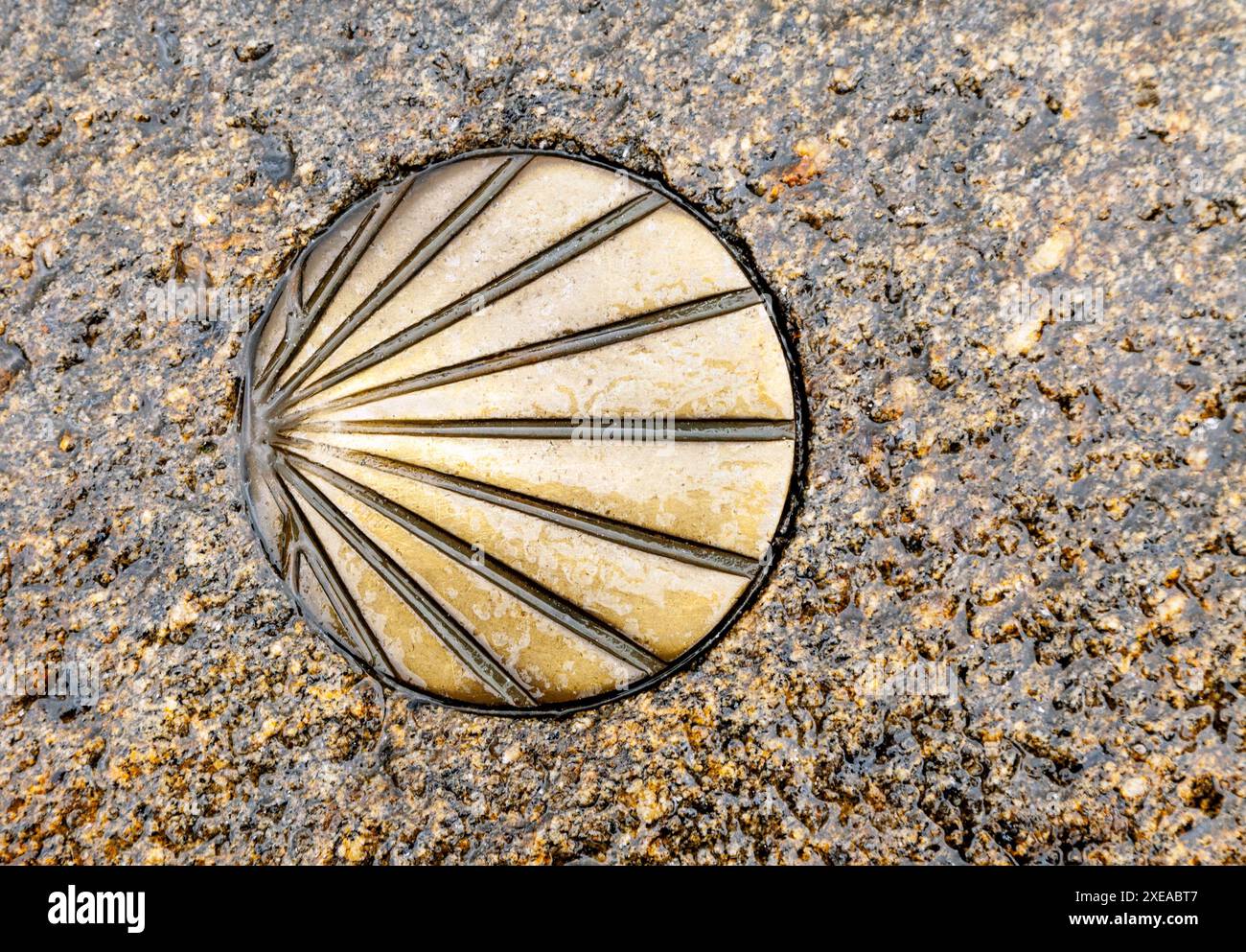 Santiago's shell on the pavement Stock Photo - Alamy