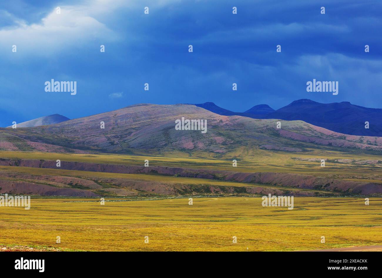 Polar tundra landscape in Alaska, USA Stock Photo - Alamy