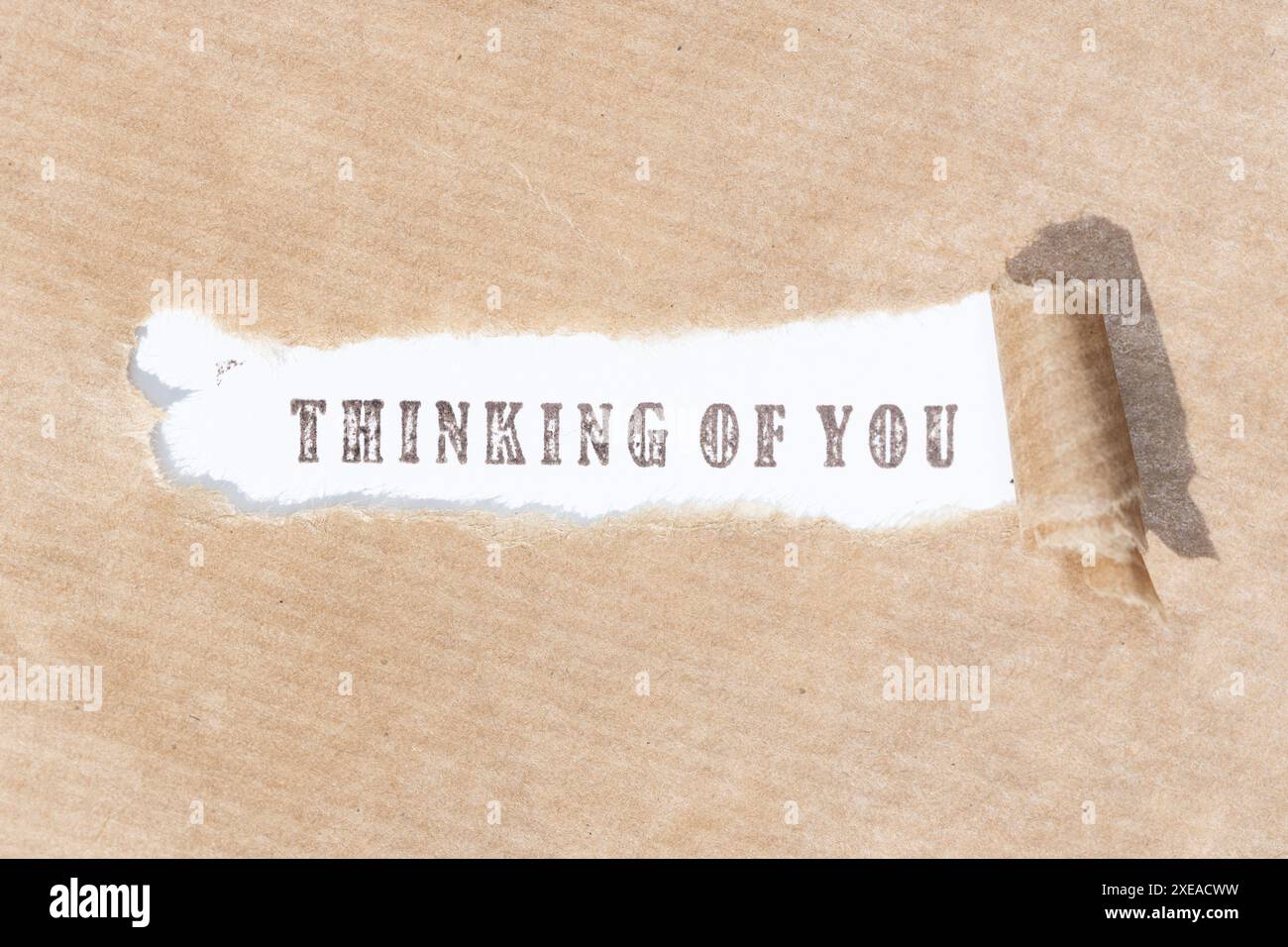 Thinking of you message. Brown paper torn stripe with text on white ...