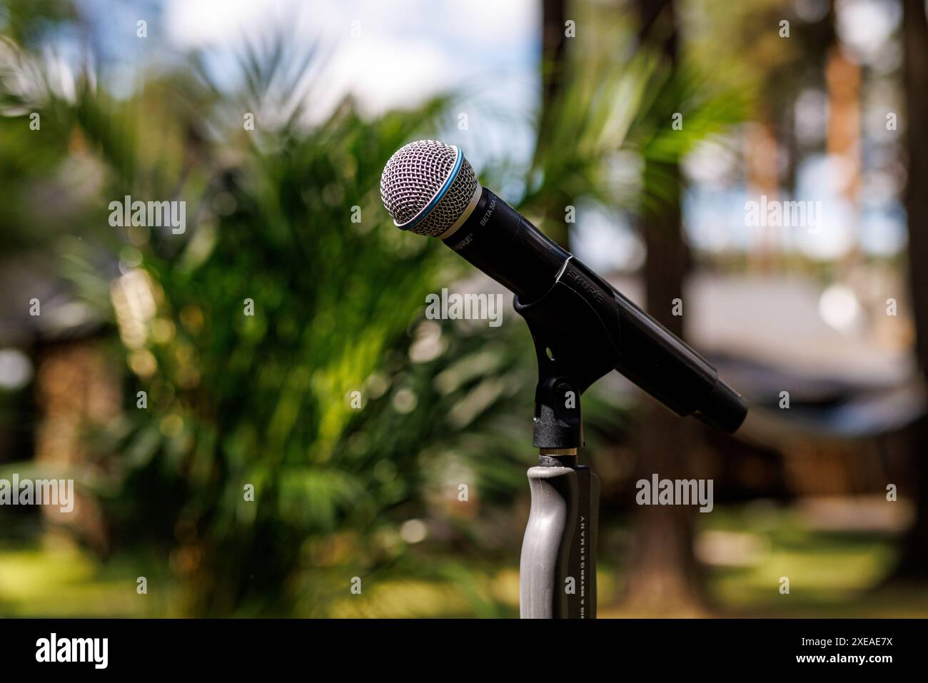 The mic is on the nature background. Close-up view of a microphone on ...