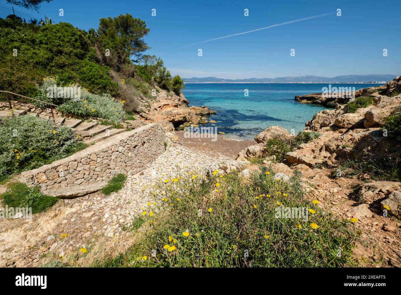 Calo hi-res stock photography and images - Alamy