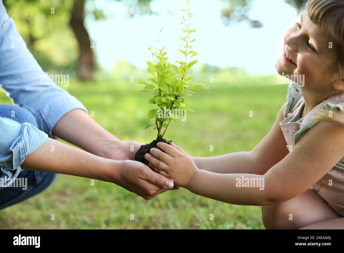 Mother and her daughter planting tree together in garden Stock Photo ...