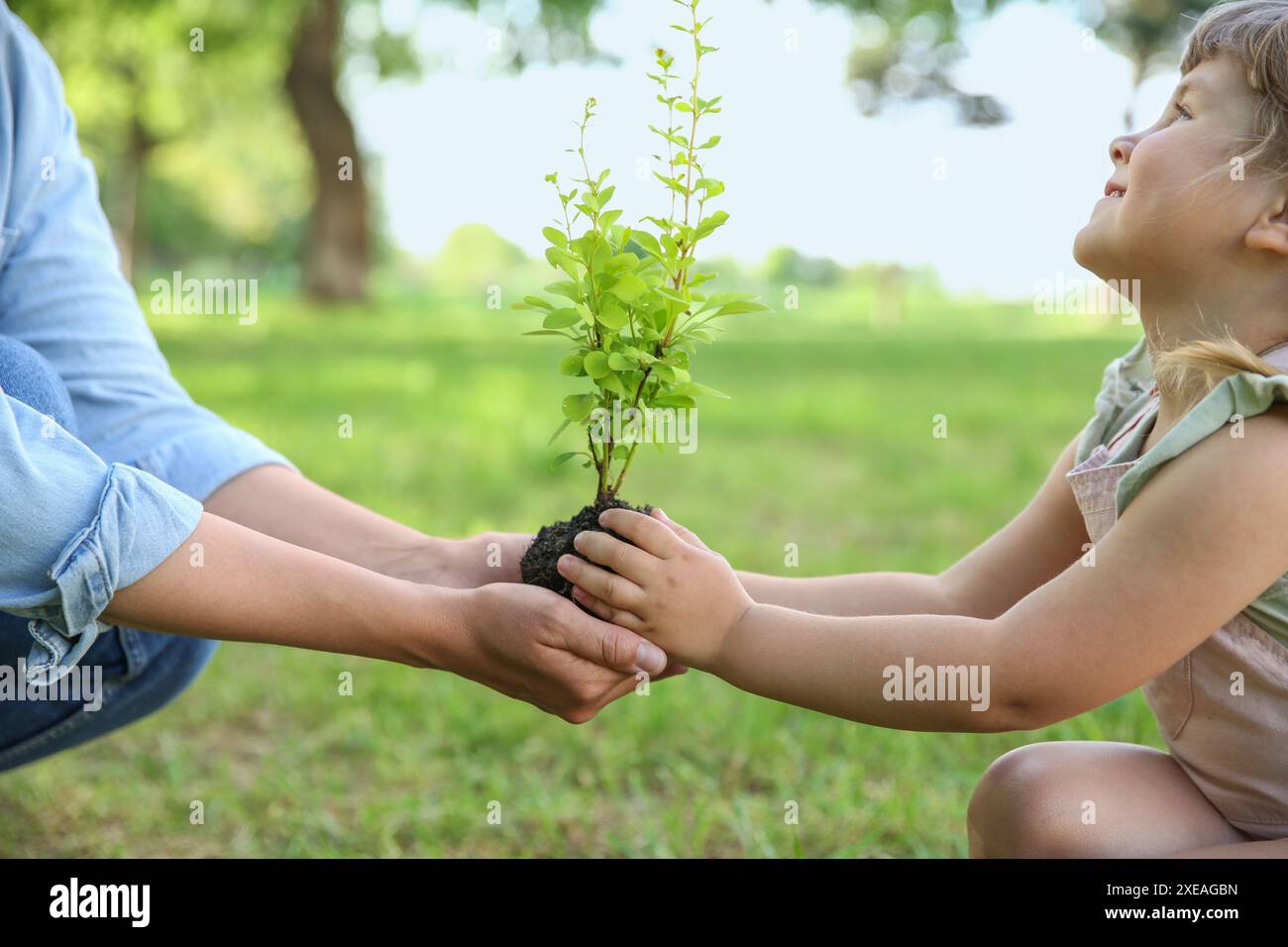 Mother and her daughter planting tree together in garden Stock Photo ...