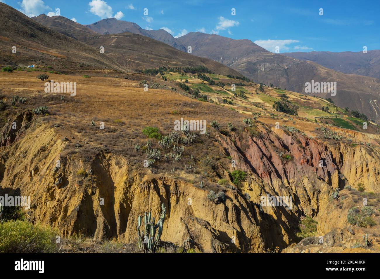 Historic Inca buildings in Peru Stock Photo - Alamy