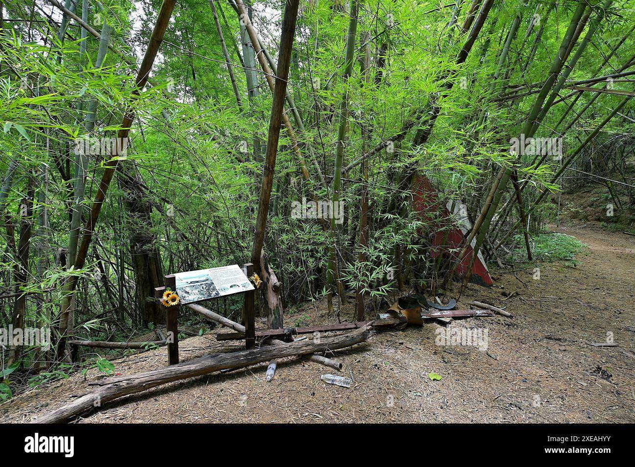 Signboard at the Lauda Air Flight 004 crash site, the deadliest ...