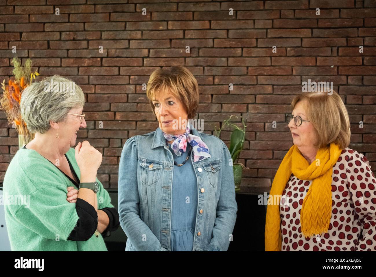 Engaging Conversation Between Senior Ladies Stock Photo - Alamy