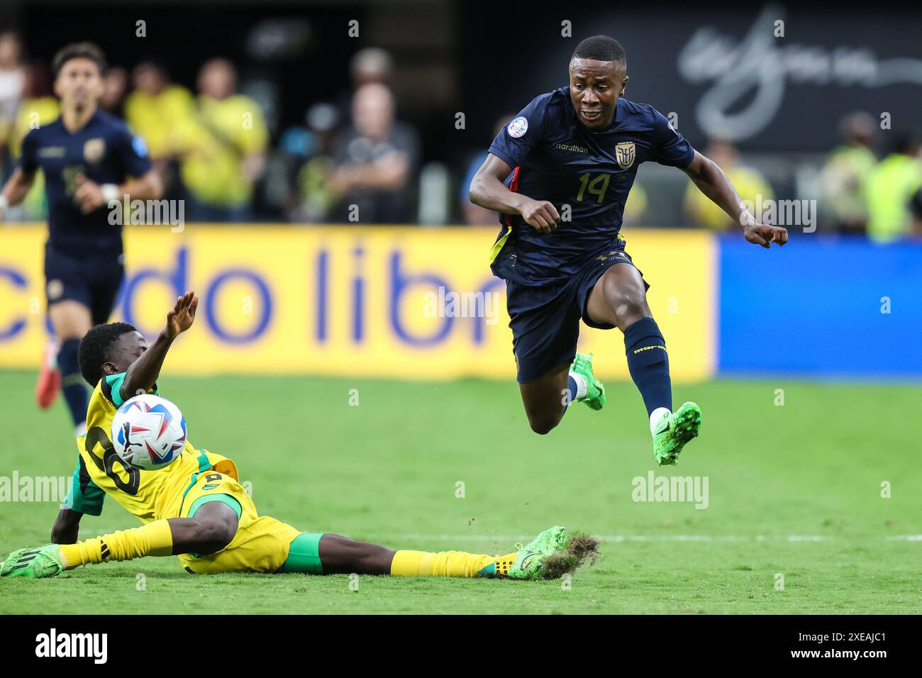 Las Vegas, NV, USA. 26th June, 2024. Ecuador midfielder Alan Minda (14 ...