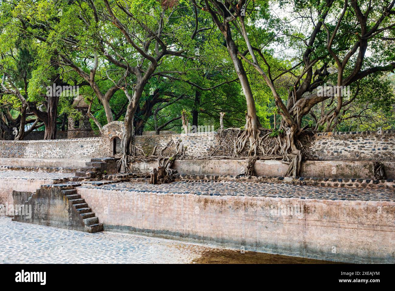 King fasilides castle hi-res stock photography and images - Alamy