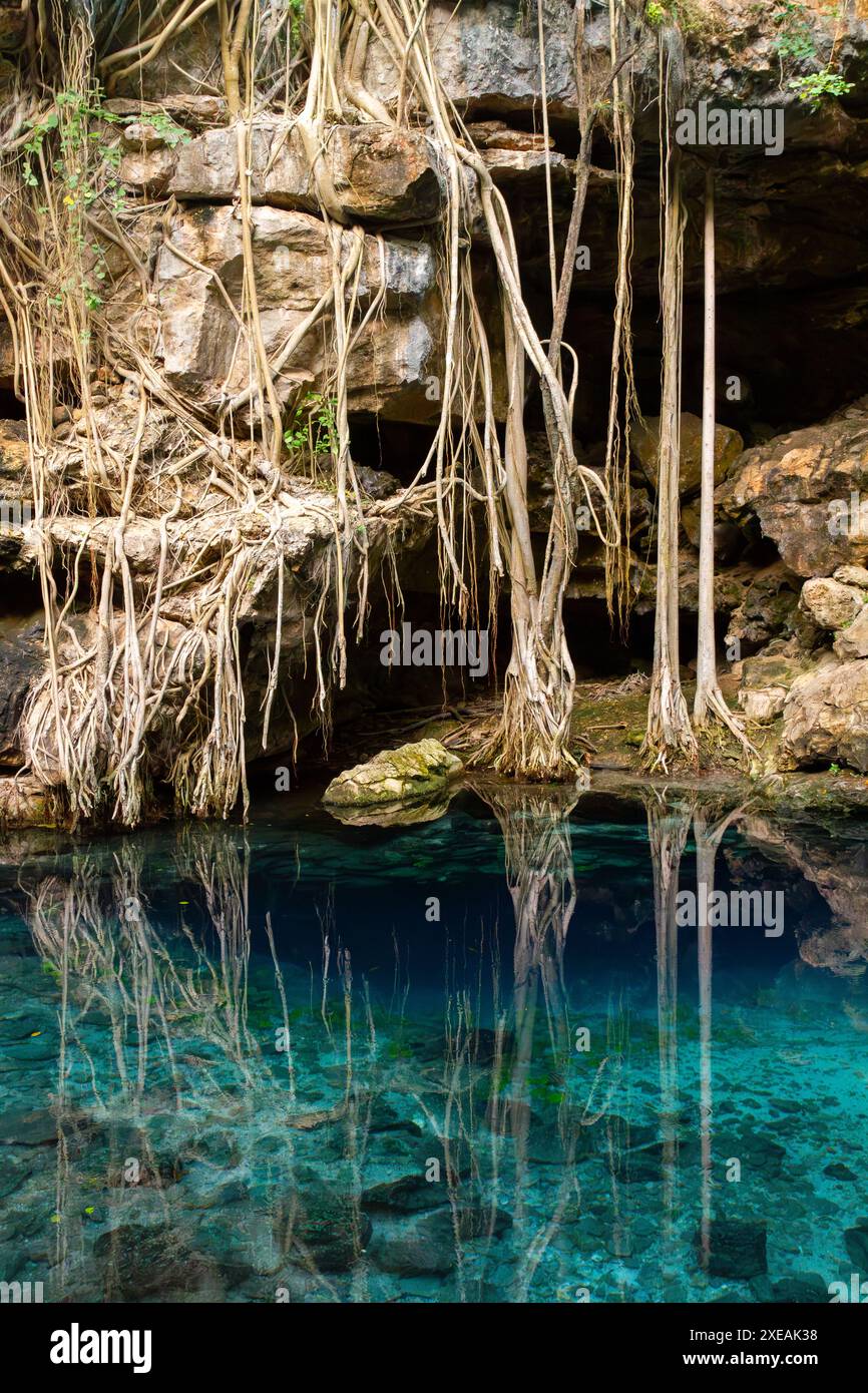 Merida mexico cenote hi-res stock photography and images - Alamy