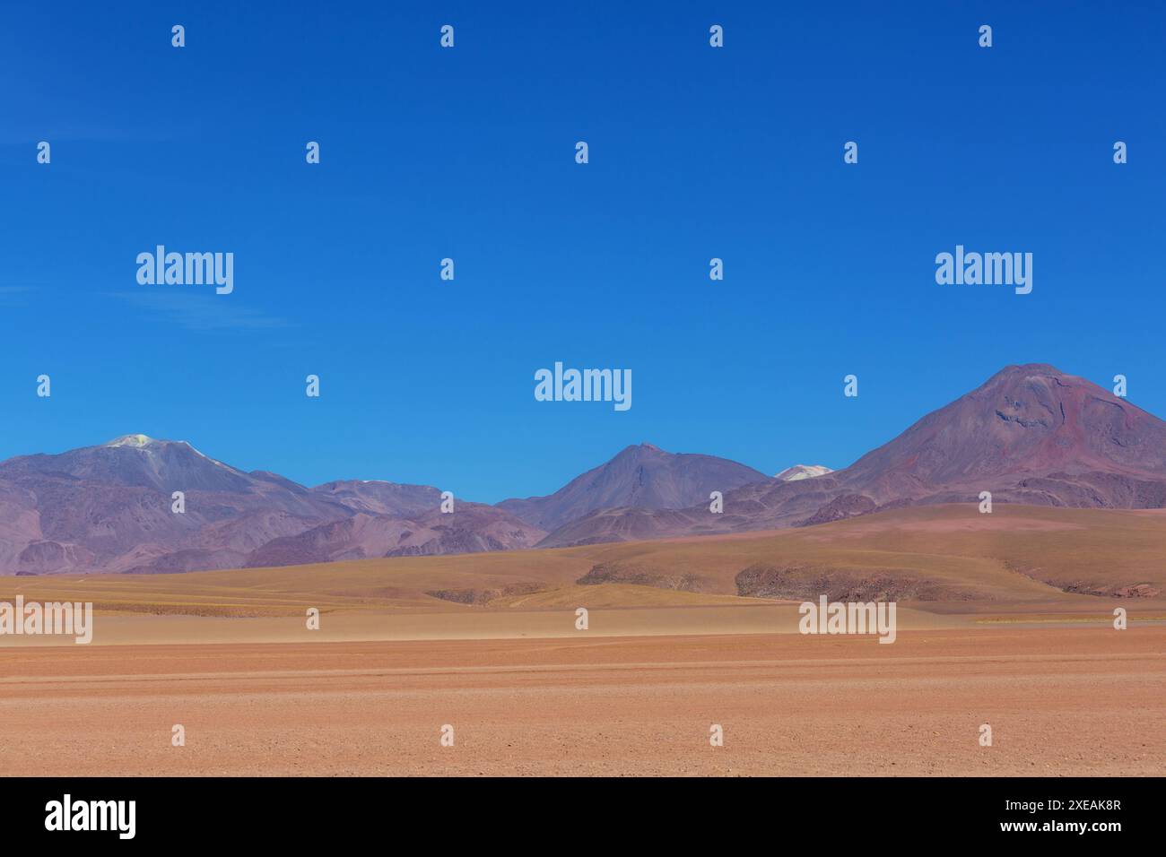 The Atacama Desert stretches along the Pacific coast of South America ...