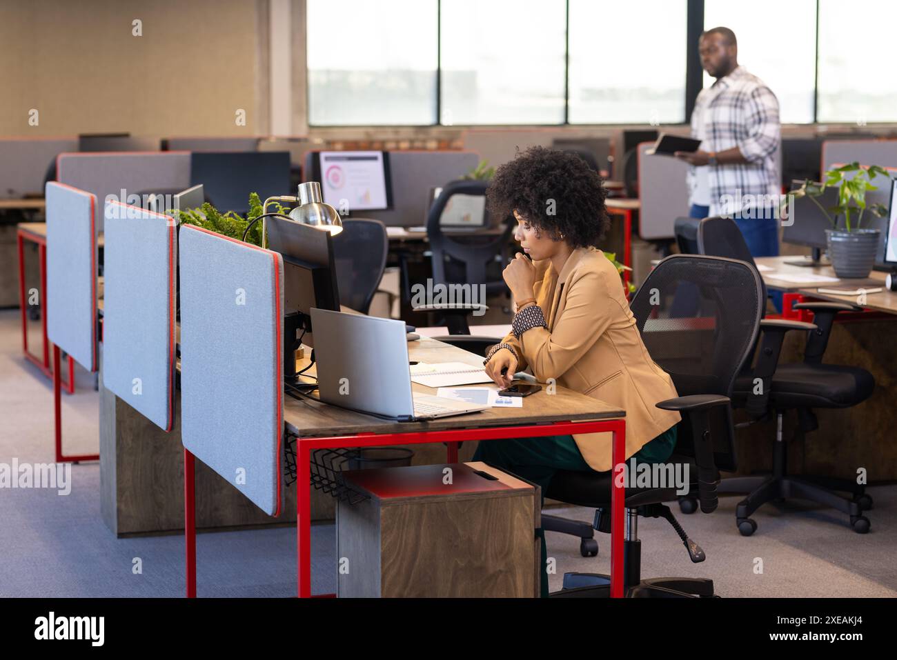 Using computer at desk, female business professional working in office ...