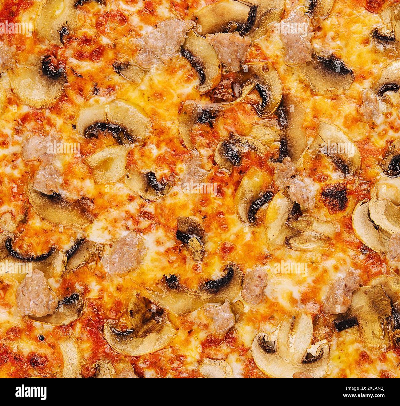 Tasty pizza minced meat hi-res stock photography and images - Alamy