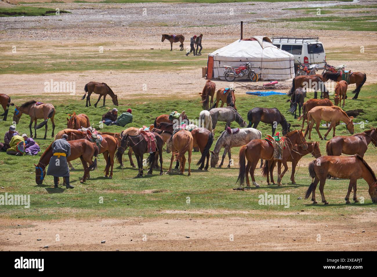 Mongolian nomad camp. Horses and car near traditional mongolian yurt ...