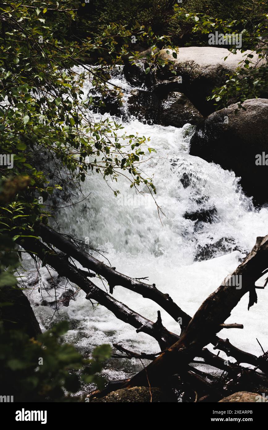 Captivating view of a serene waterfall flowing over rocks in a dense ...