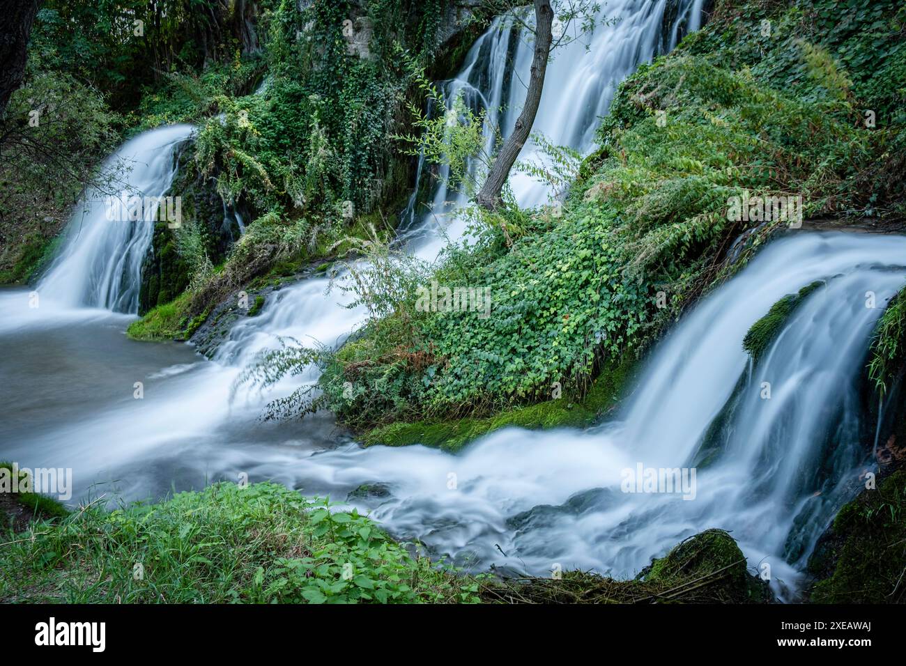 Trillo hi-res stock photography and images - Alamy