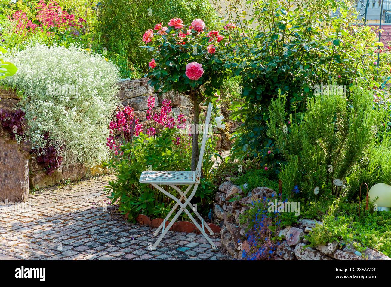 Residential Garden, private garden. Landscape design in home garden ...