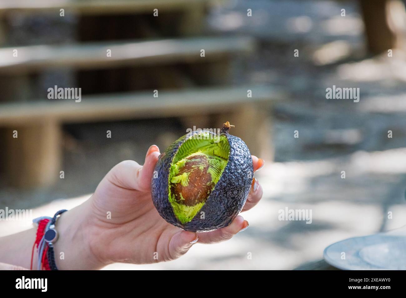 Opening, peeling, splitting and preparing a dressing with avocado Stock ...
